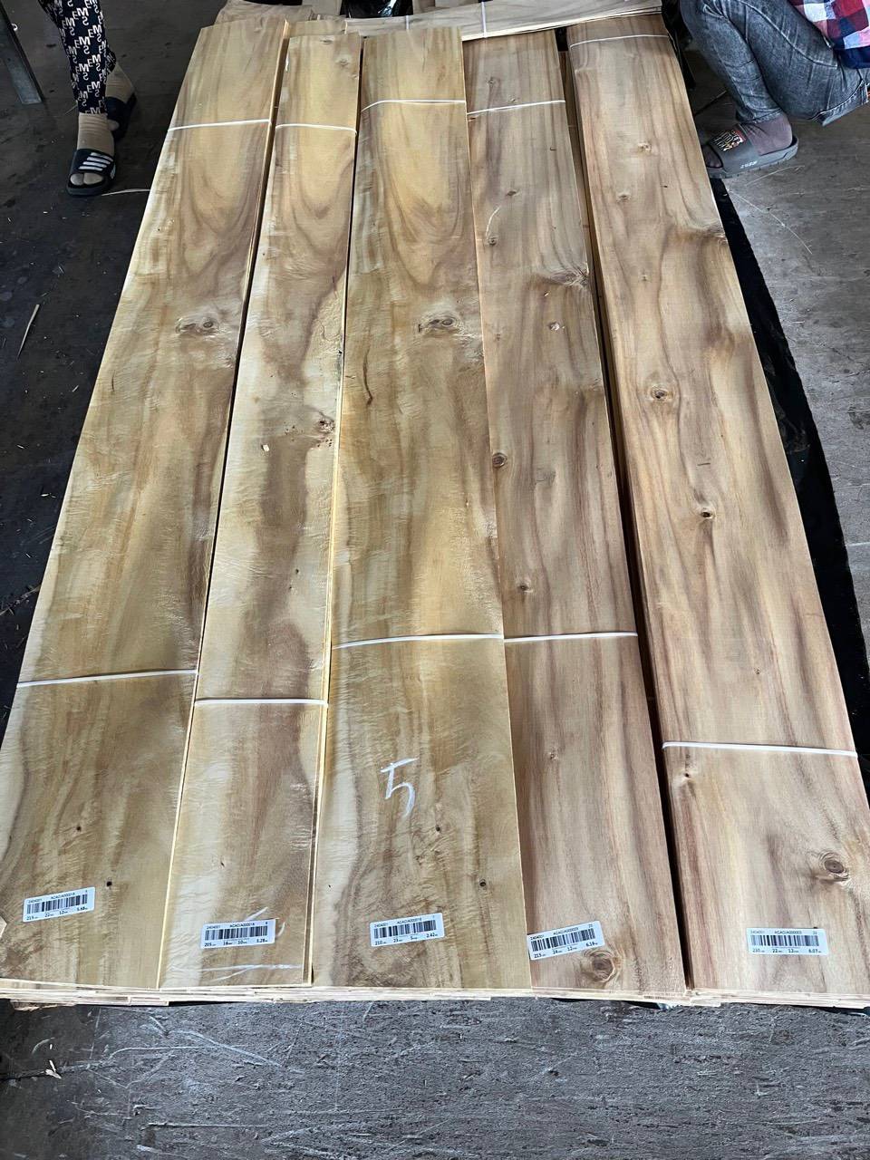 Furniture veneer – Acacia - Mỹ Lâm