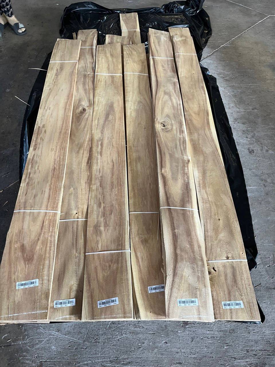 Furniture veneer – Acacia - Mỹ Lâm